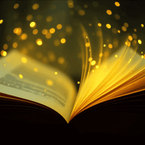 The Root Cause Protocol | Starter Guide